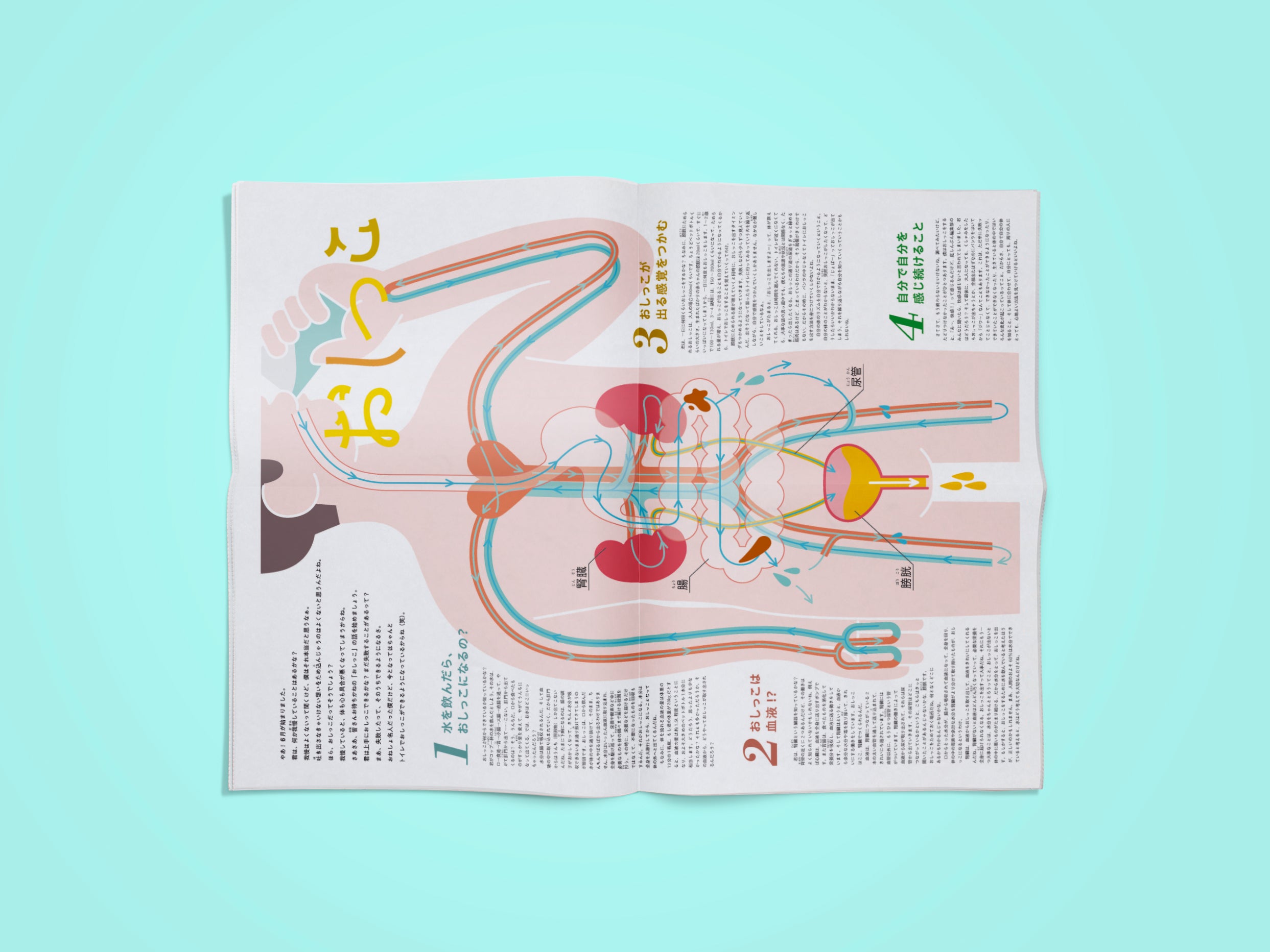 庭しんぶん #082「おしっこ」 – niiiwa